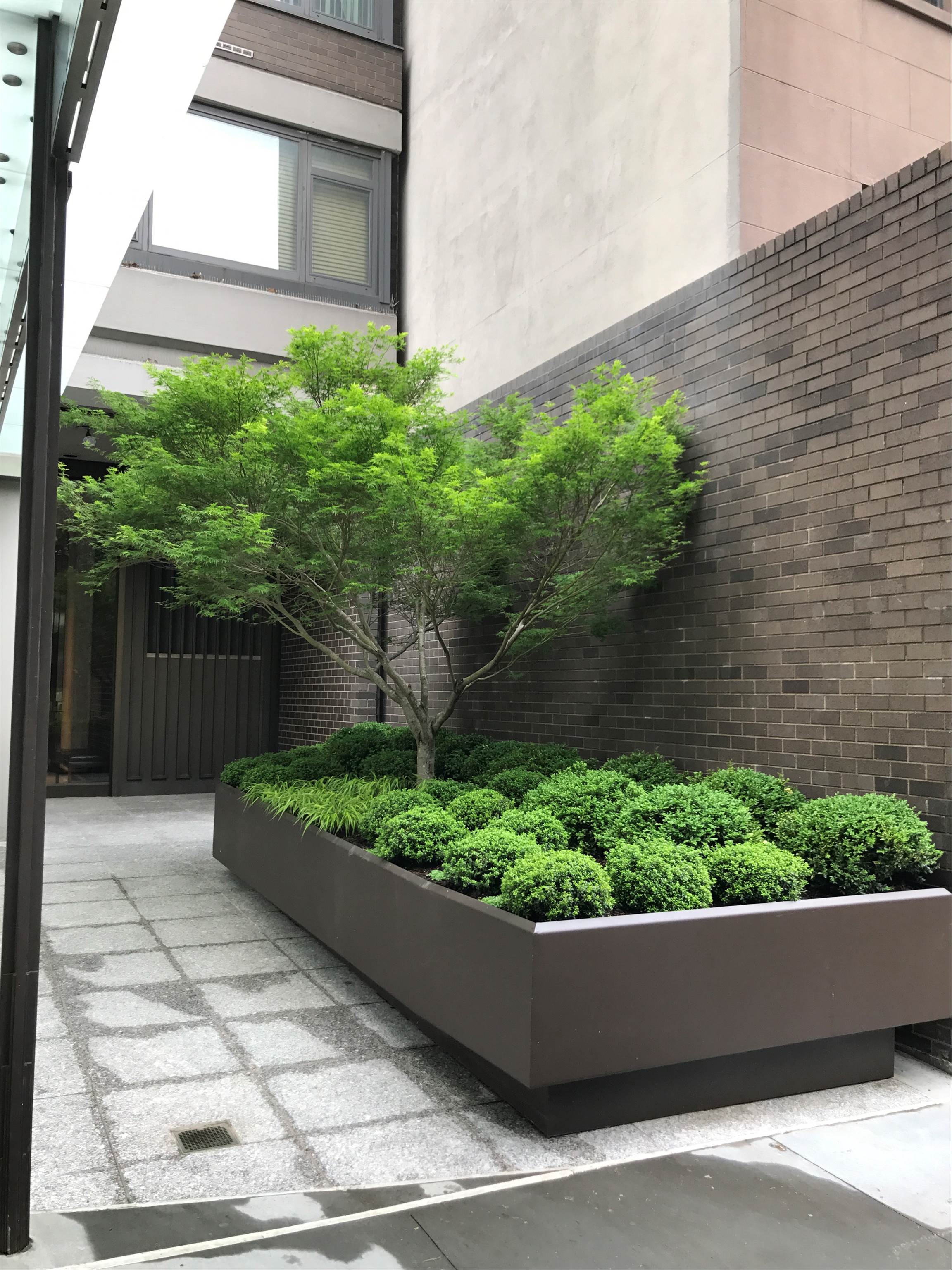 Lexington – HOMELINE CONSTRUCTION