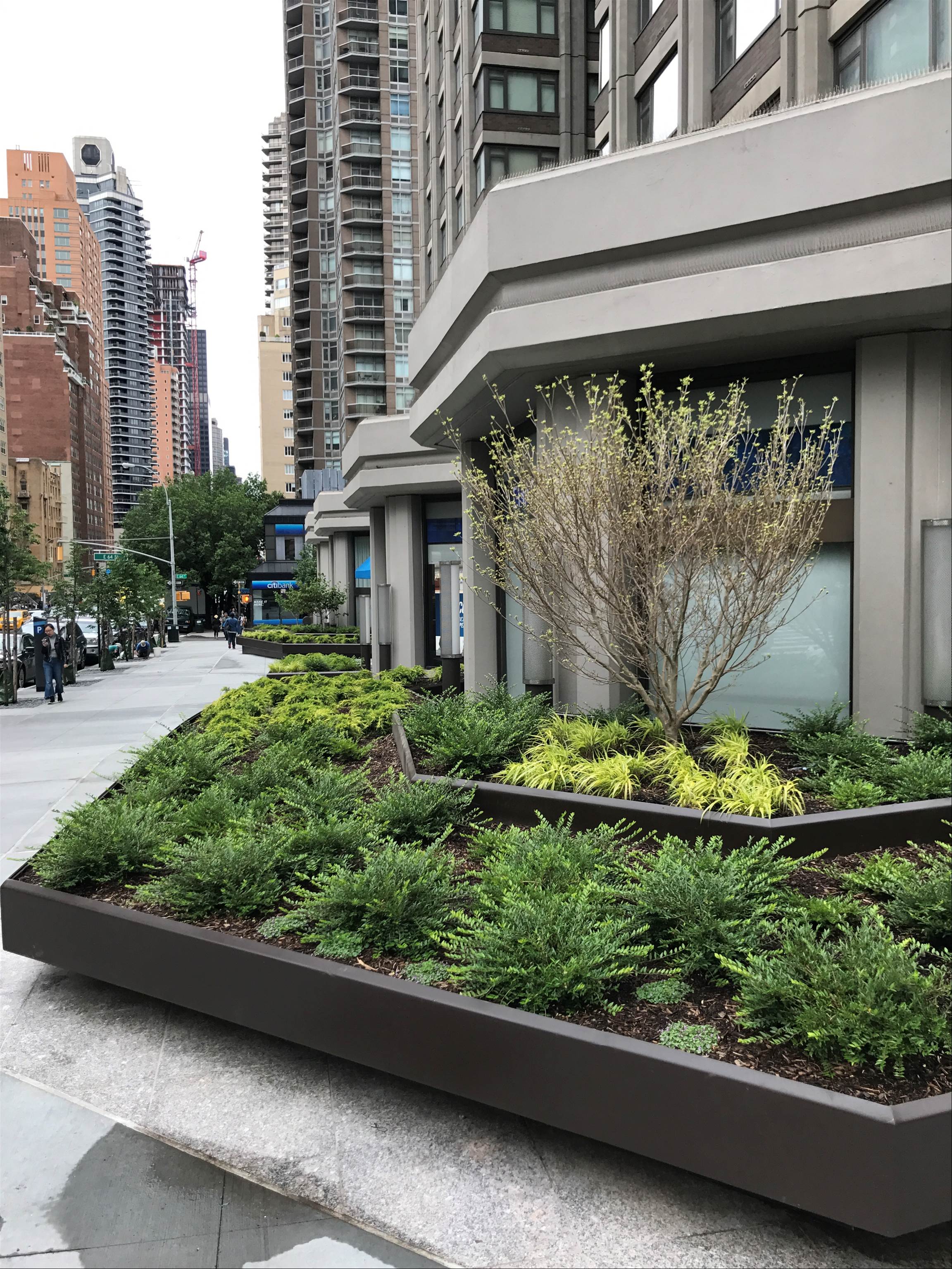 Lexington – HOMELINE CONSTRUCTION